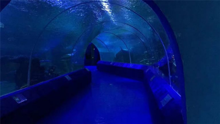 180 or 90 Degree Acrylic Panels for Aquarium Tunnel - Yuejing Acrylic